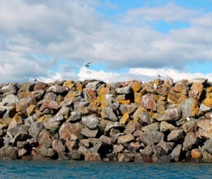 Rip Rap & River Rock: What Are They and What Are They For? | Renegar ...